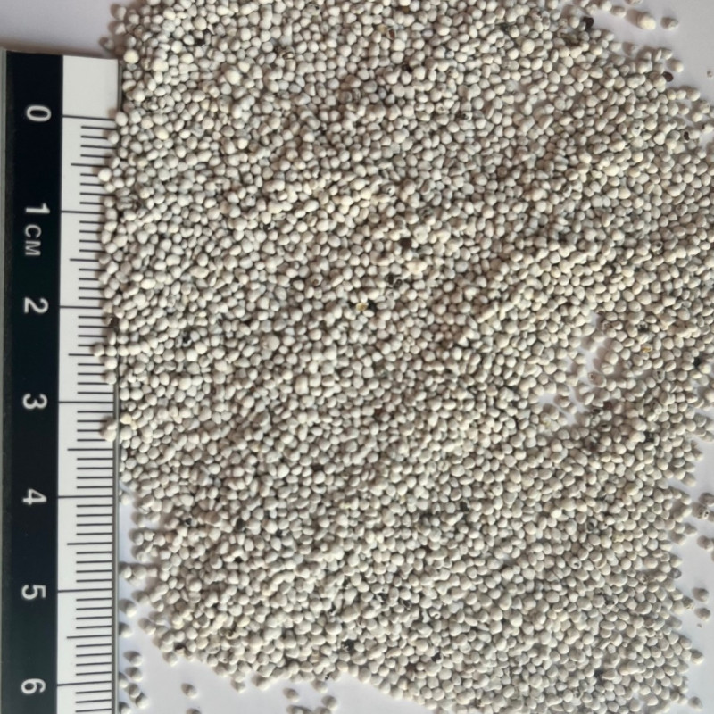 Graines de trèfle nain - Semences de Trifolium repens Microtrefle