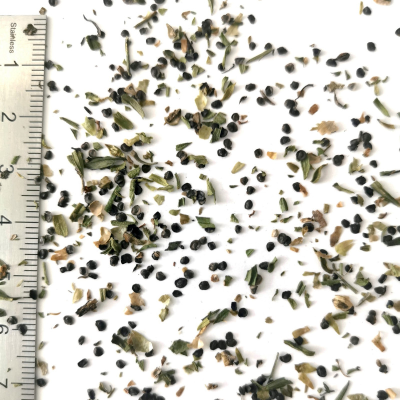 Graines de Linaire commune / sauvage - Semences de Linaria vulgaris